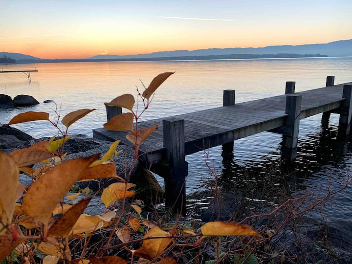 Magnifique Villa à 2 Pas Du Lac Leman - Thonon-les-Bains