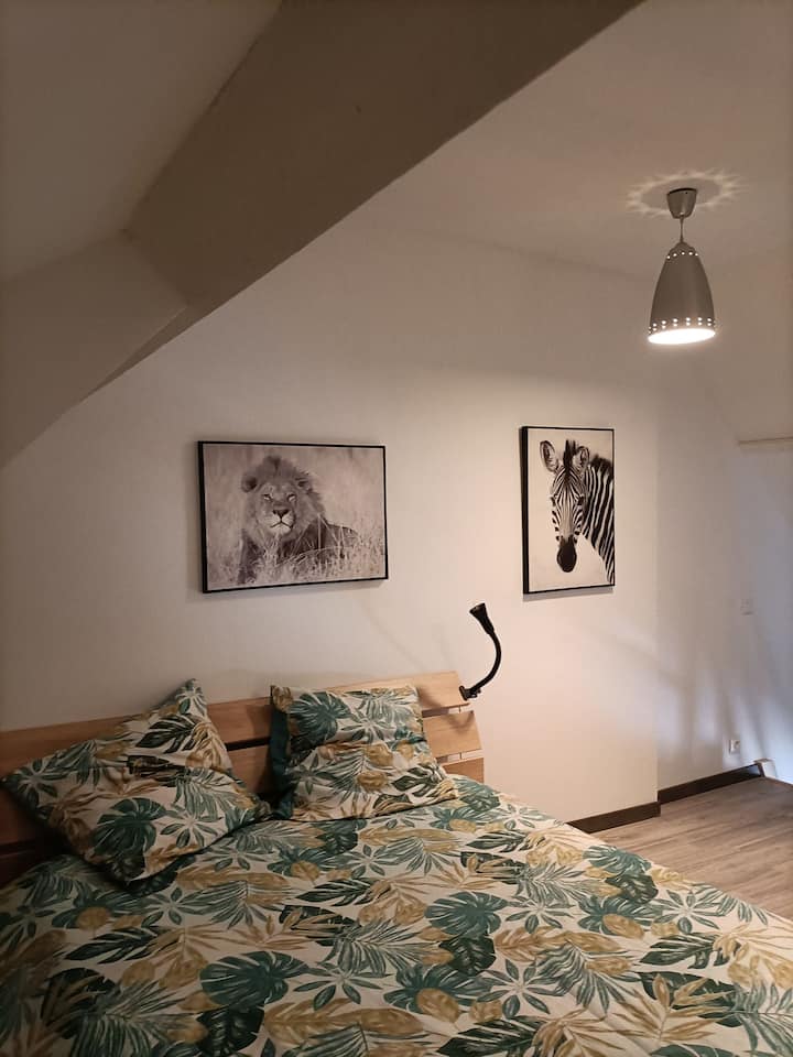 Appartement Au 3e éTage Dans Rue Commerçante - Saint-Lô