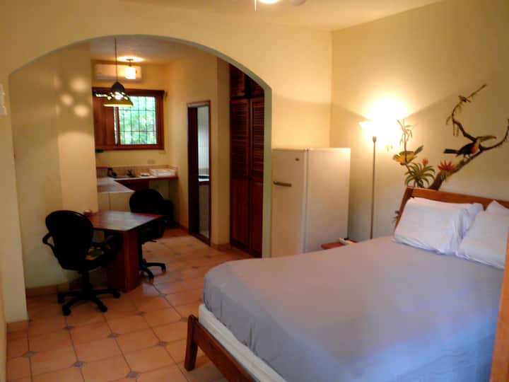 Nosara Beach Front Studio - Nosara