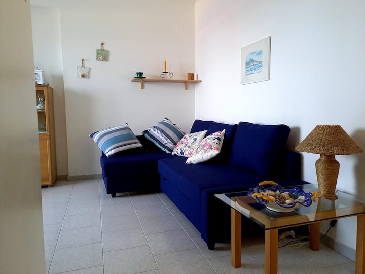Casa Delle Conchiglie - Praia a Mare