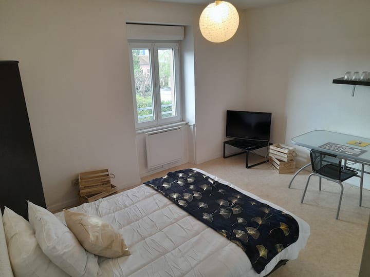 Studio Cv à 100 M De L'entrée Psa Et Faurecia (8) - Sochaux