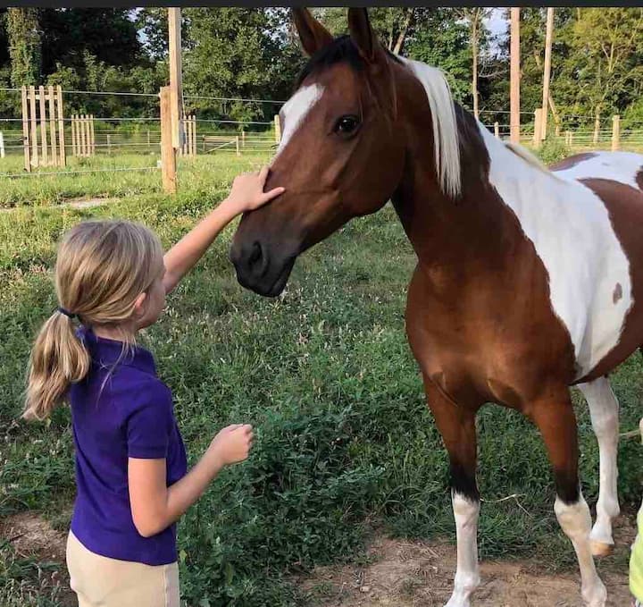 Lancaster County Horse Ranch Apartment - Pennsylvania