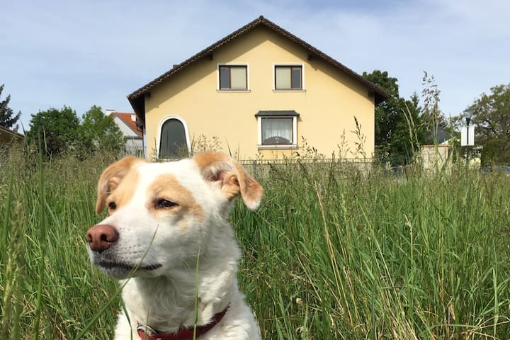 Timetravel-holidayhouse With Garden Near Vienna - Baden bei Wien