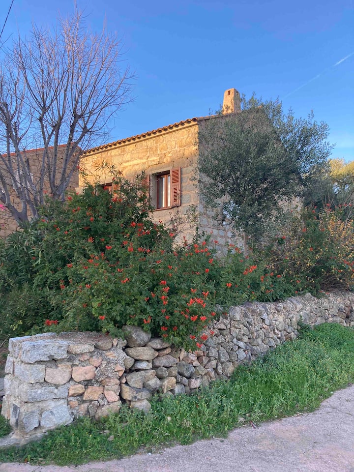 Région Figari - Maison Typique Corse - Pianottoli-Caldarello