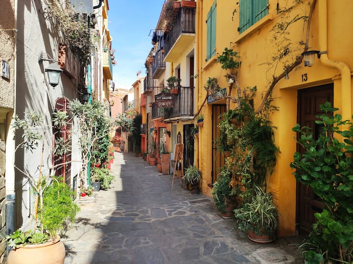 Spacieux Studio, Vieux Village Et Plages - Collioure