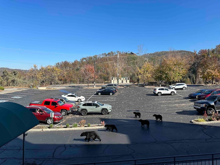 Rustic Cottage Style - 10 Min Walk Dt Gatlinburg - Gatlinburg, TN