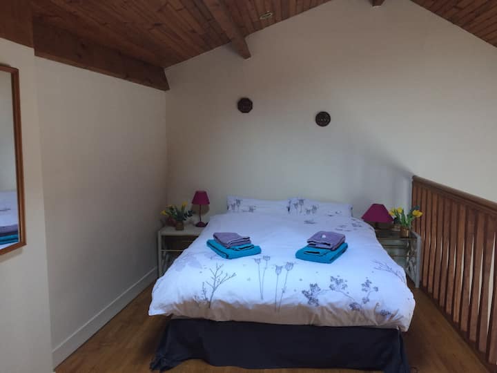 Grand Studio 36m2 à 15mn Du Centre De Paris -Rer B - Cachan