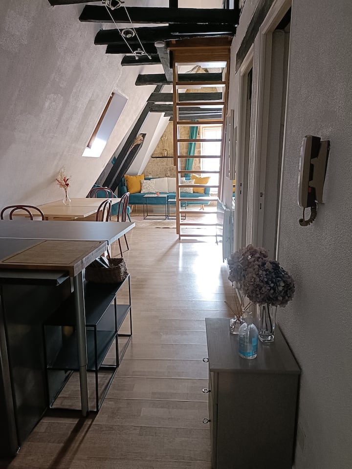 Appartement Atypique En Plein Cœur De La Ville - Sarlat-la-Canéda