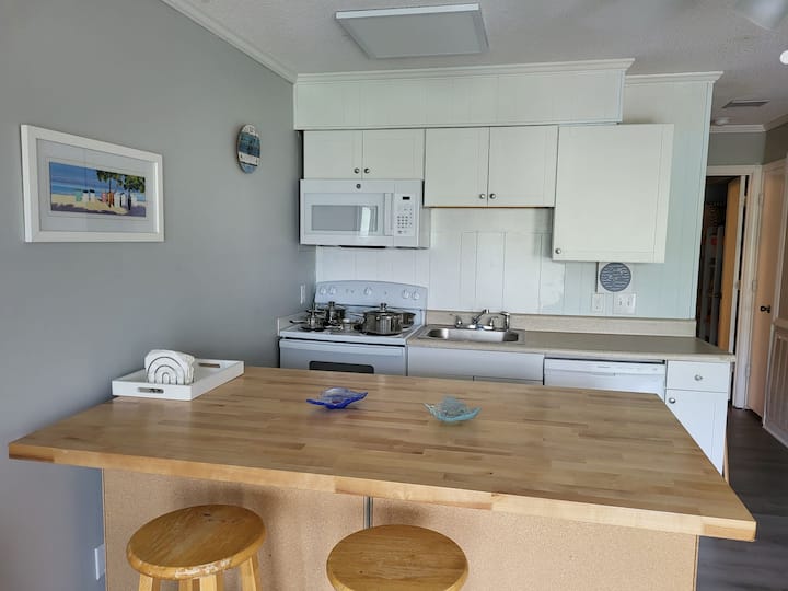 Bush Beach Bungalow - Hilton Head Island, SC