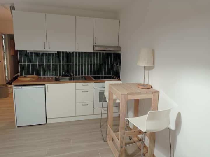 ✨Superbe Appartement Proche De La Frontière ✨ - Versoix