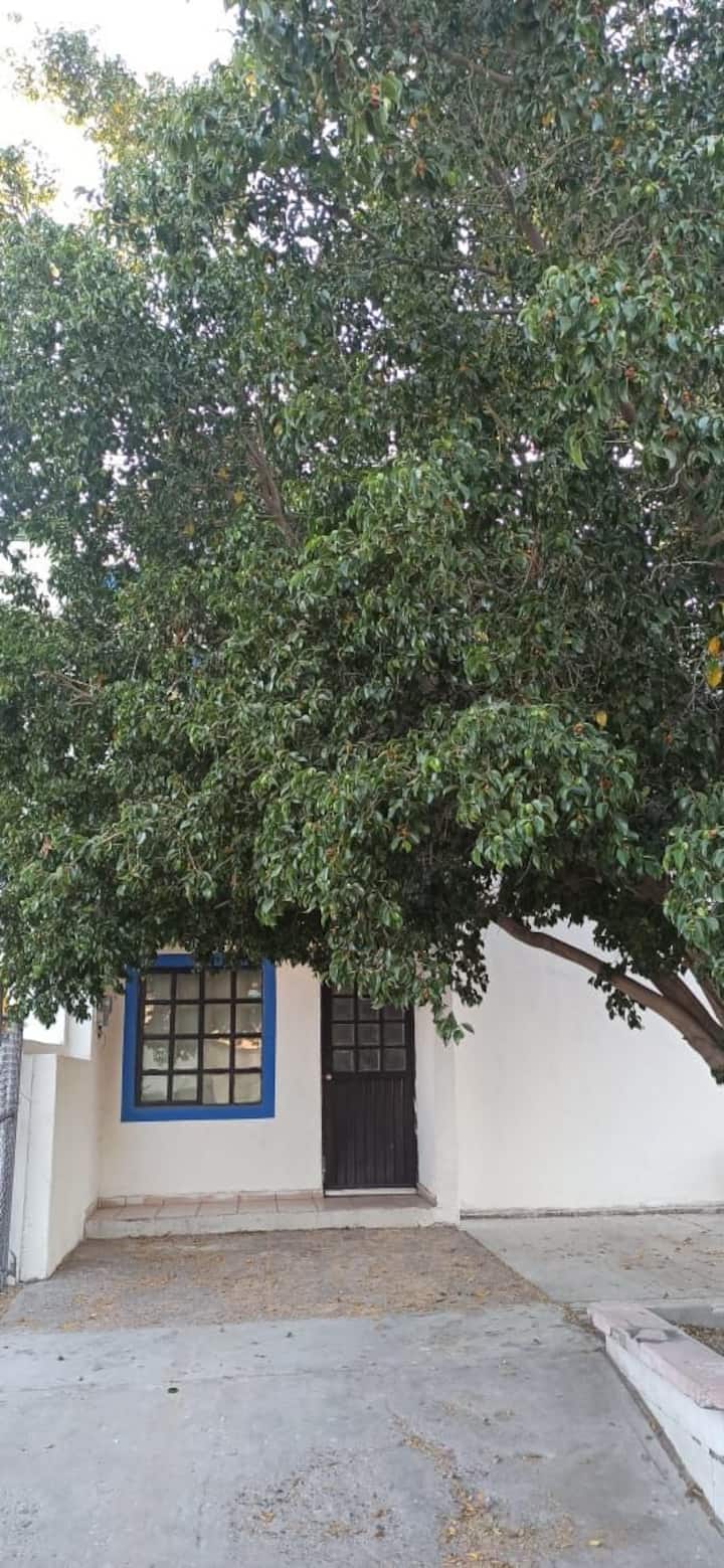 Casa En La Mejor Ubicación Al Norte De La Ciudad. - Hermosillo