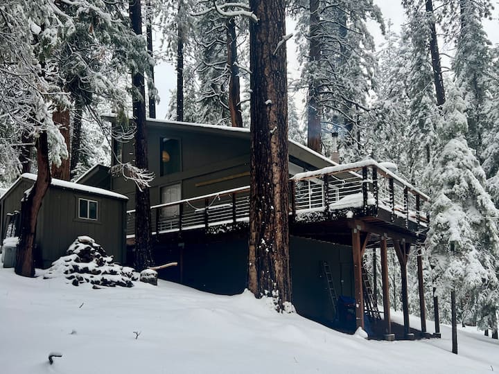 Winter Getaway! King Bed + Dog Ok + Cozy Vibes - Arnold, CA