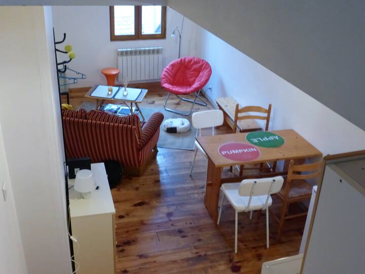Lumineux T2 Duplex 52 M² Au Coeur D'annecy - Annecy