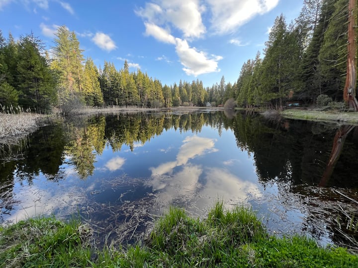 Sweet Haven: Cozy Air Conditioned Cabin By A Pond! - Shaver Lake, CA