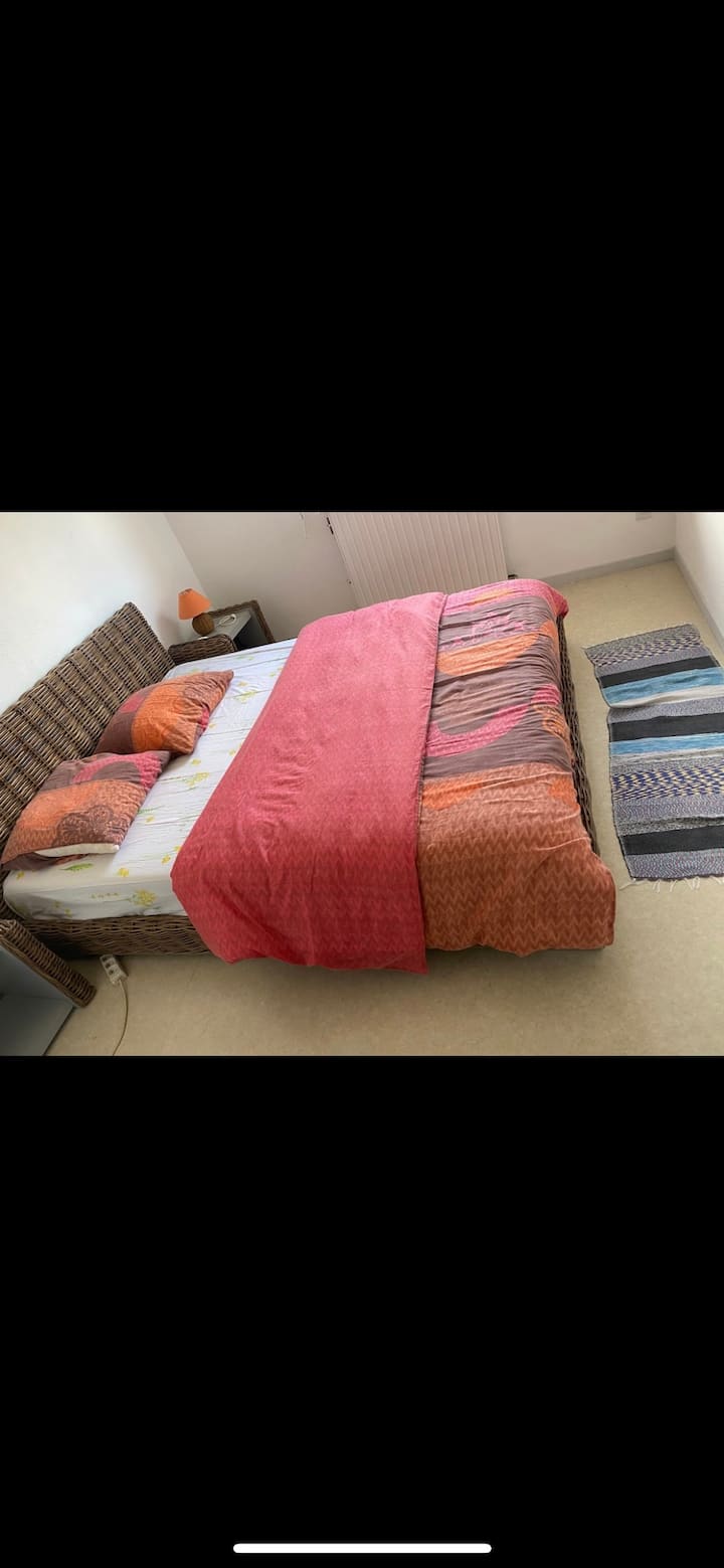 30 Min De La Mer Et De Bordeaux Maison Entière - Saint-Jean-d'Illac