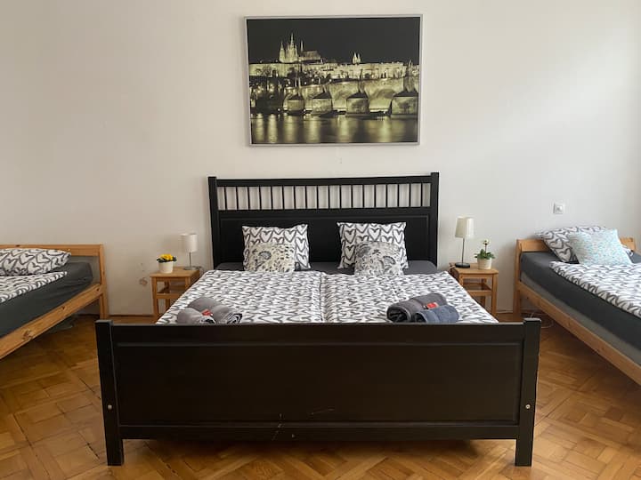 David Relax Apartment-big Flat City Center - Praga
