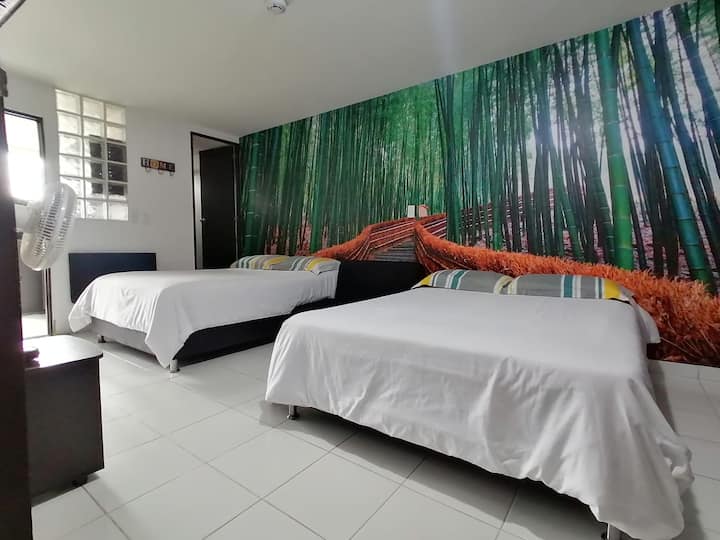 Apartment With  Bathroom + Private Kitchen (201) - Medellín