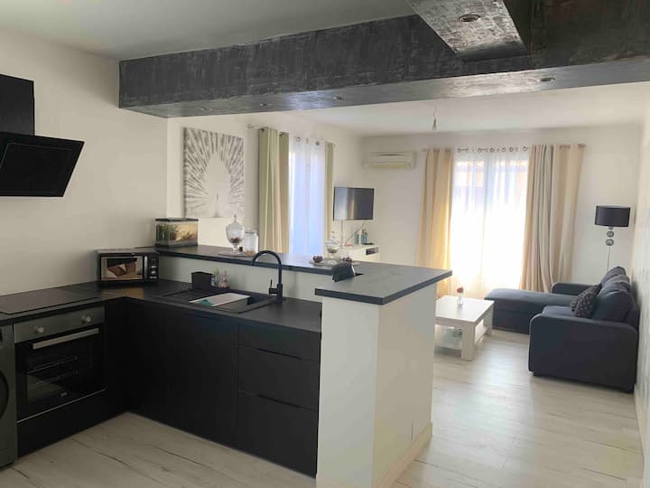 Sublime Appartement Lumineux Dans Le Sud - ペルピニャン