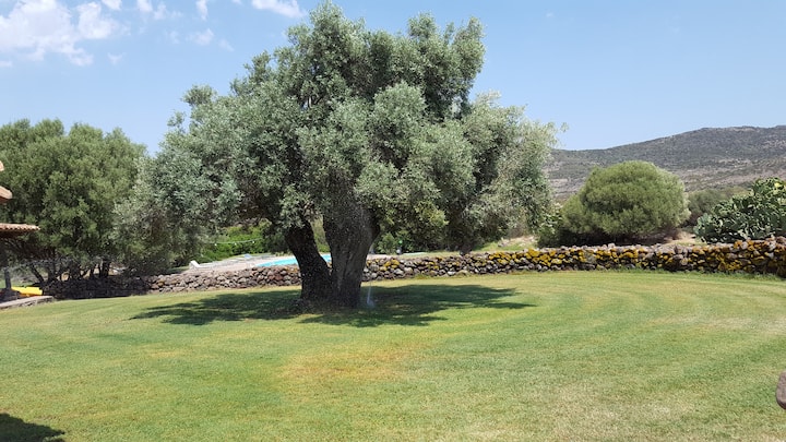 Agriturismo Medau Becciu - S'apposentu - Carbonia