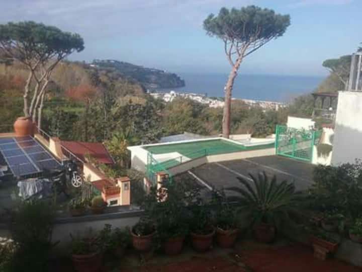 Casa Panoramica Miramare&montagna2 - Lacco Ameno