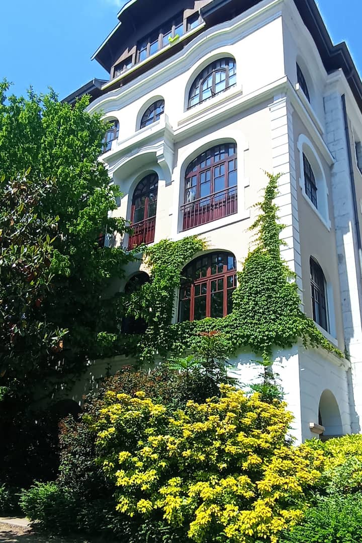 Appartement De Charme - Annecy