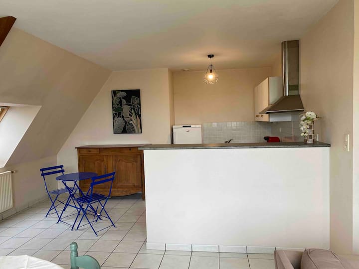 Châtellerault : Superbe Appartement - Châtellerault