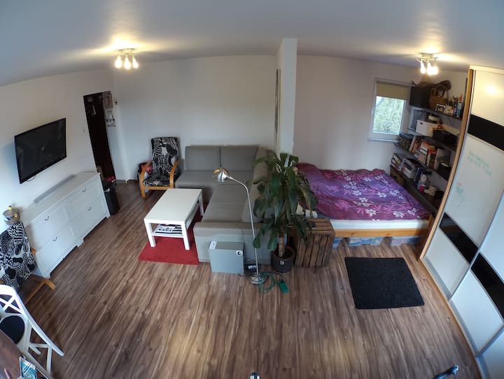 Katowice Apartment Perfectly Located To Cop24. - Katowice