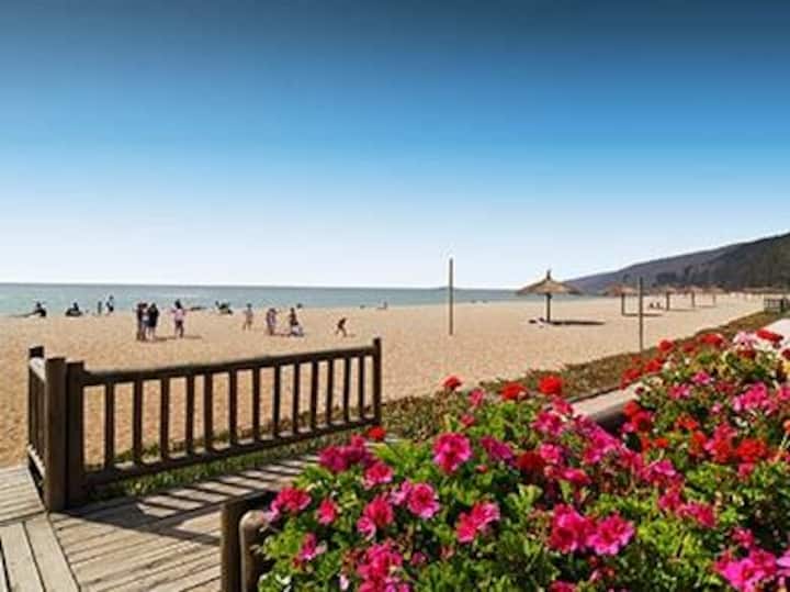 Fabuloso Depto Punta Puyai - Papudo Pasos De Playa - Papudo