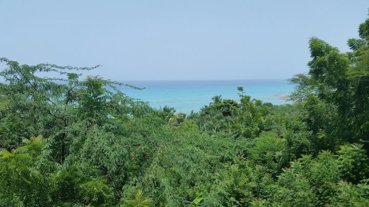 Breathtaking View From Paradise - Haiti