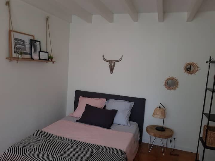 A Louer Appartement Biscarrosse Plage - Biscarrosse