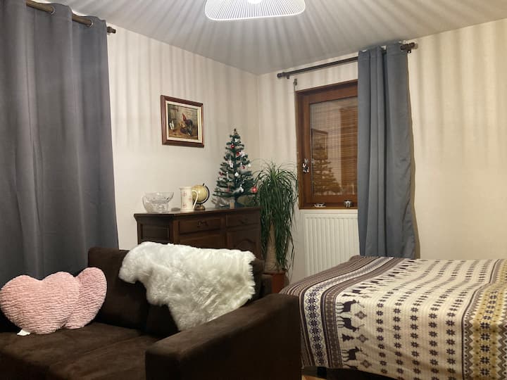 Appartement 2 Pers Plein Centre Du Mont-dore - Le Mont-Dore