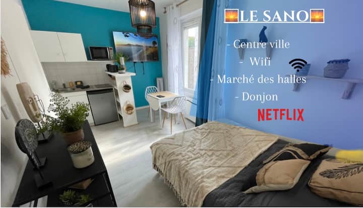 🌅Le Sano🌅hyper-centre, Wifi-netflix - Niort