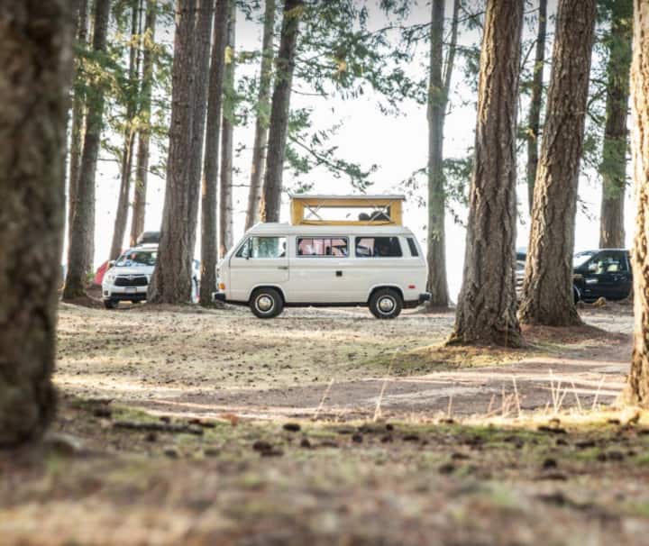 Vw Westalia Campervan Rental ️Vancouver Island - Nanaimo