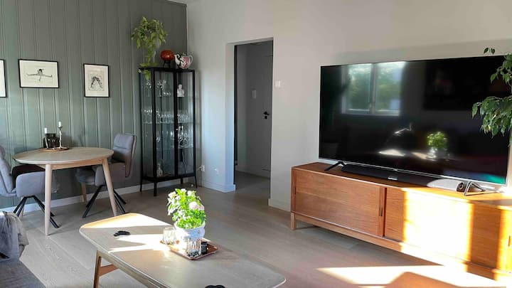 Trivelig 52 M2 Leilighet, Sentralt På Majorstuen - Oslo