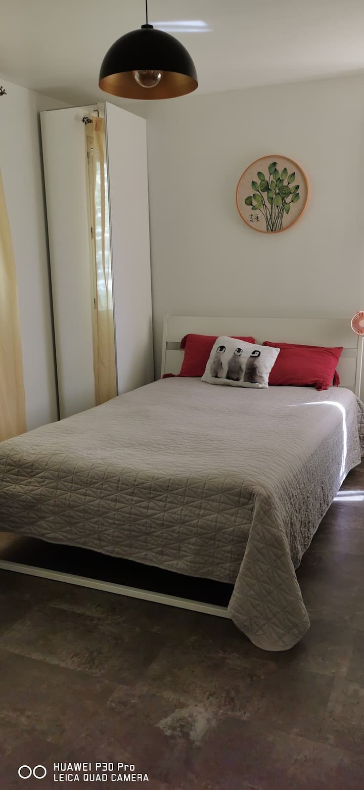 Studio Hôpitaux Facultés De Fangfang - Montpellier