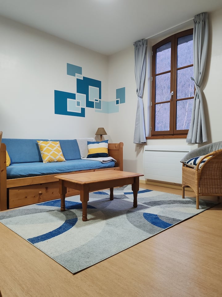 Appartement Location Saisonnière - Aulus-les-Bains