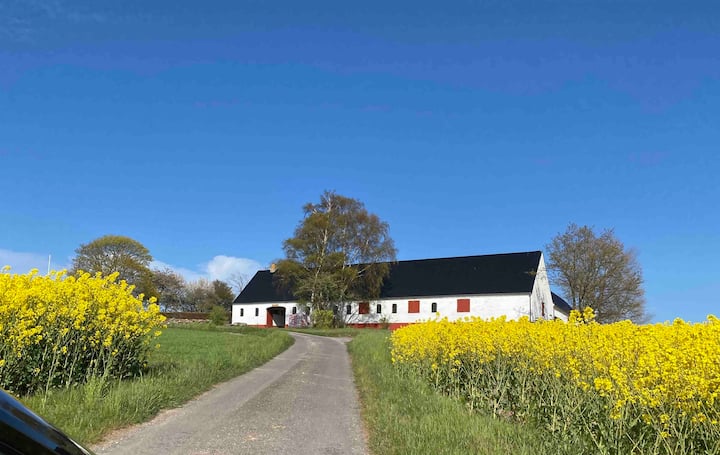 Enjoy Bornholms Most Beautiful Sunset At Duebjerg - Bornholm