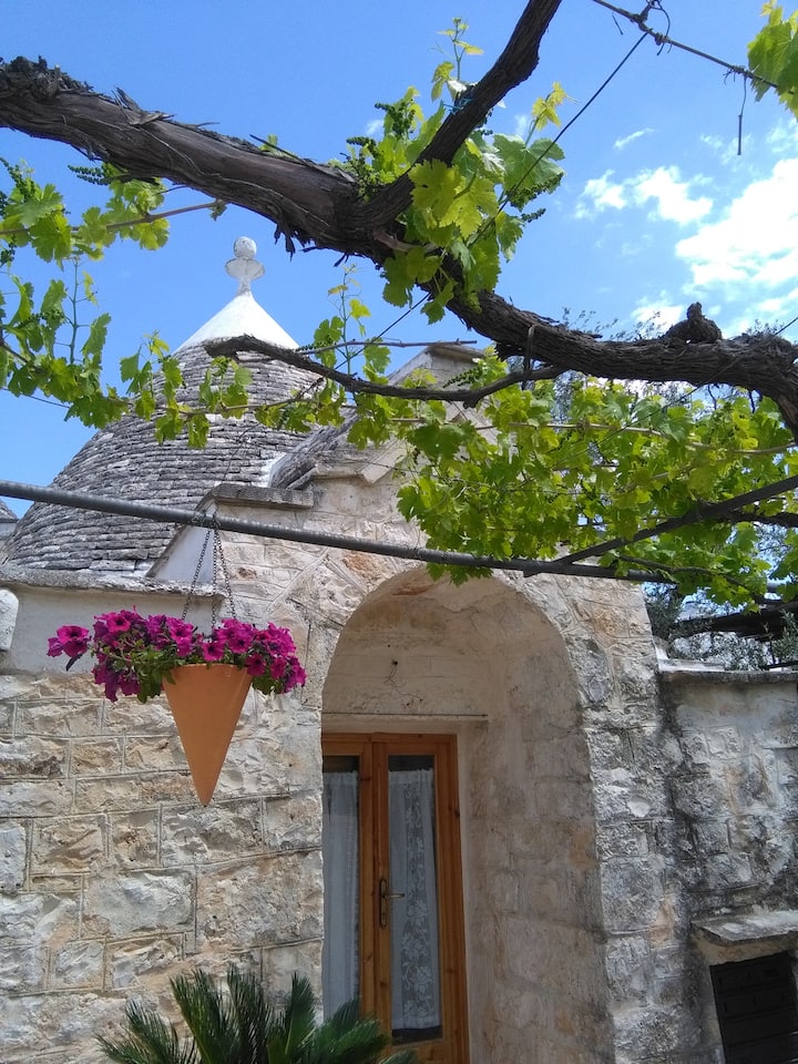 B & B Il Cosmo: Vivere I Trulli... - Fasano