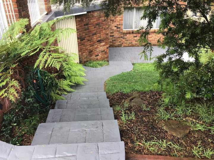 Silky Oak At Mollymook Beach - Ulladulla
