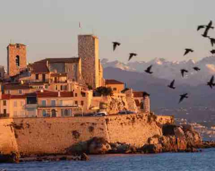 Idéalement Situé à 150 Mètres De La Plage - Antibes