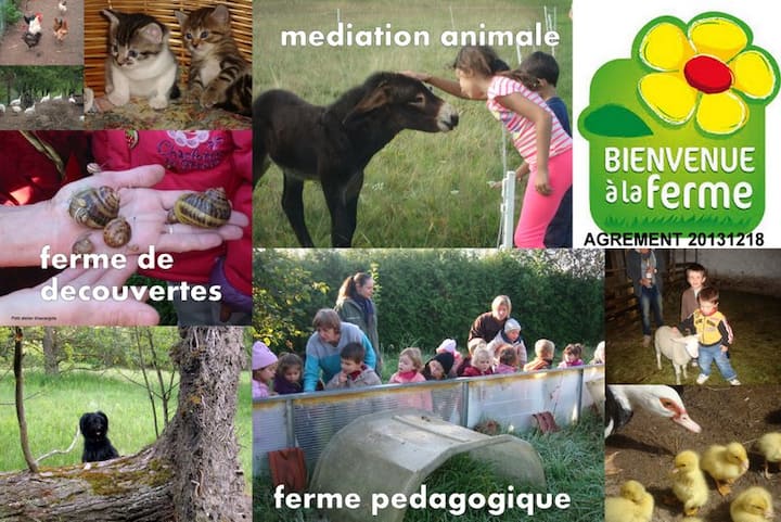 Gite Nature- Ferme Bio -11 Personnes - Vosges
