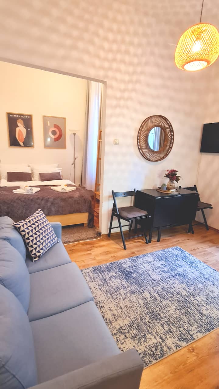 Beogradjanka Studio8 Min Walk/knez Mihailova - Belgrade