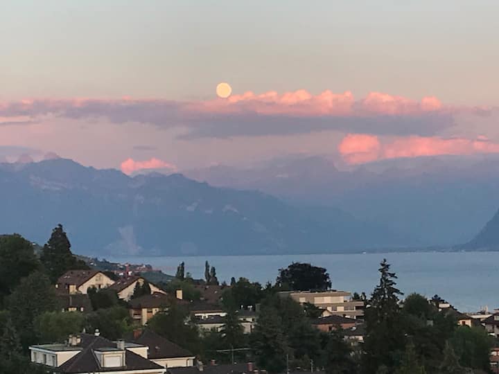 Appartement T1 Avec Balcon Et Vue Exceptionnelle! - Lausanne
