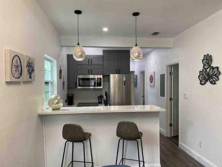 Contemporary Bungalow Walk To Armature & Riverwalk - Davis Islands, FL