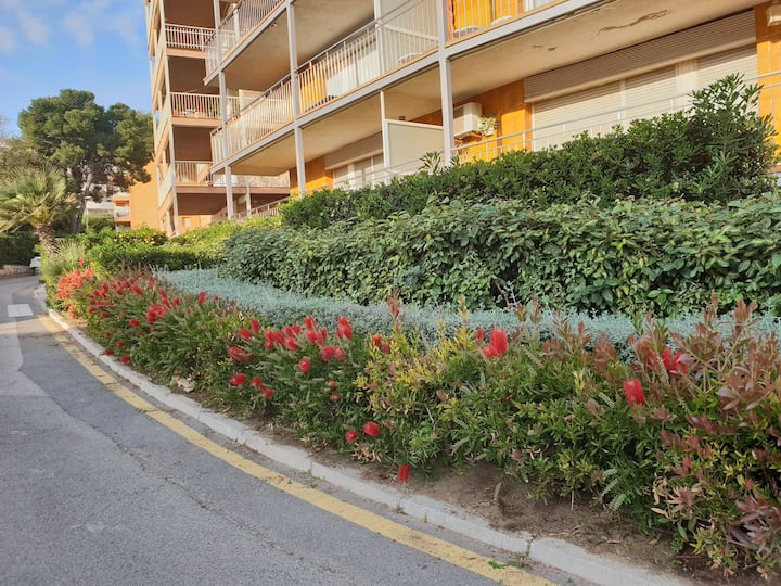 Building Botin Apartment - La Pineda