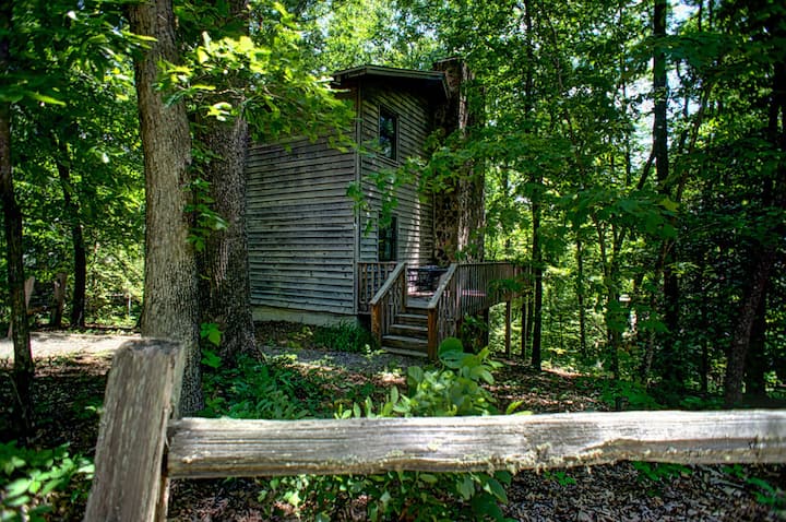 Magic Raven At Paradise Hills Winery Resort - Blairsville, GA