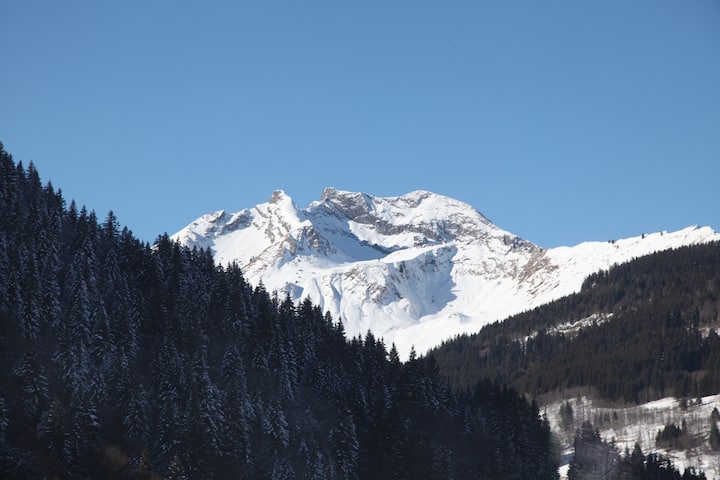 Stunning Chalet In Les Gets: Ski In ! - Les Gets