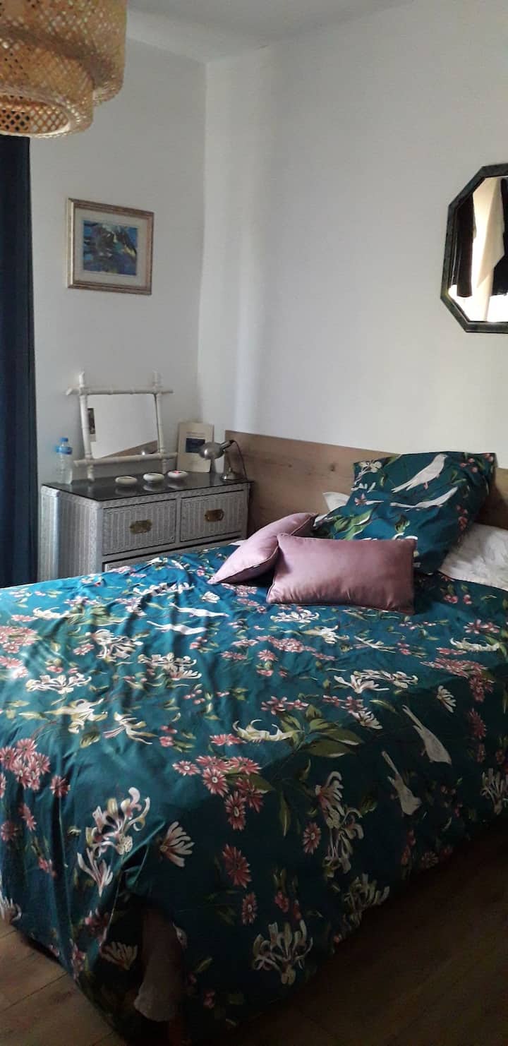 Q. Lafayette 
Chambre Meublée  Pour Femme - Angers