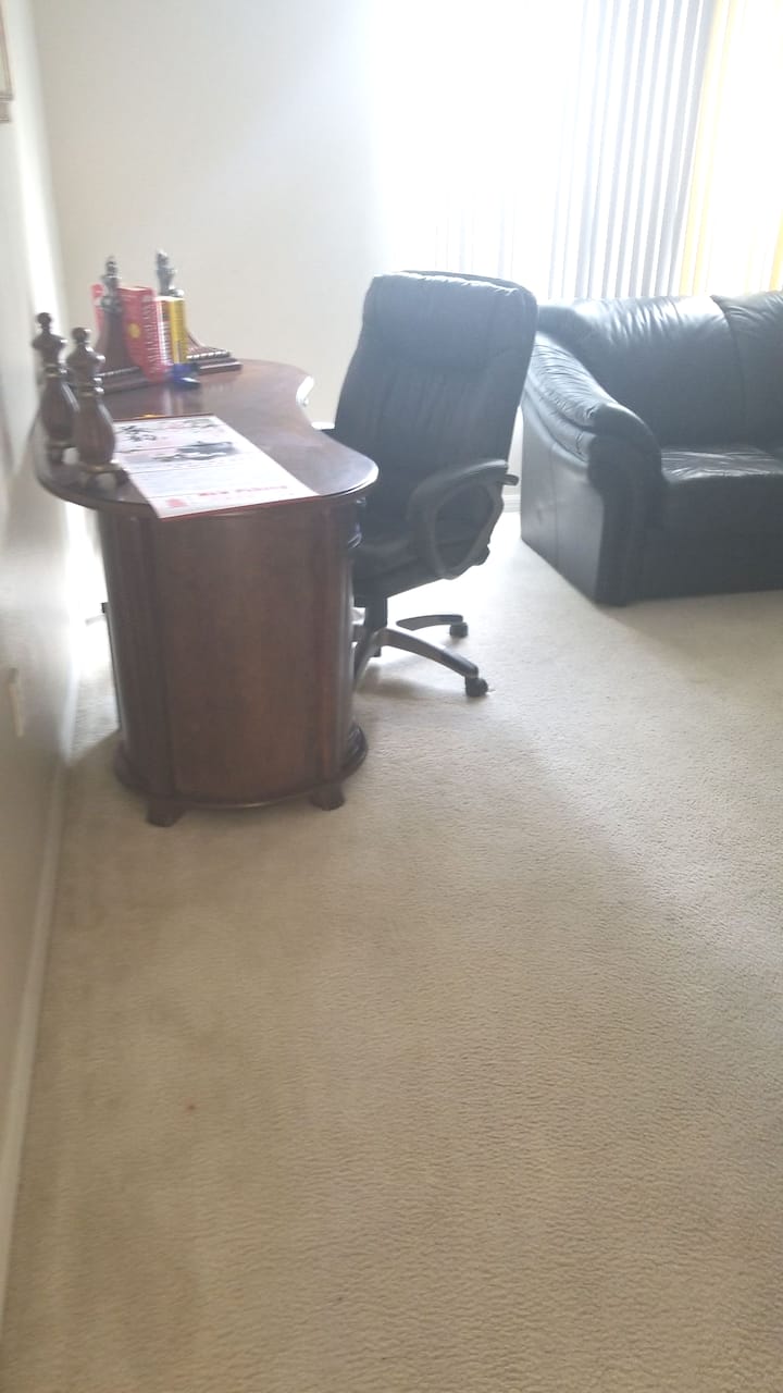 Three Bedrooms Penthouse! - DeLand, FL