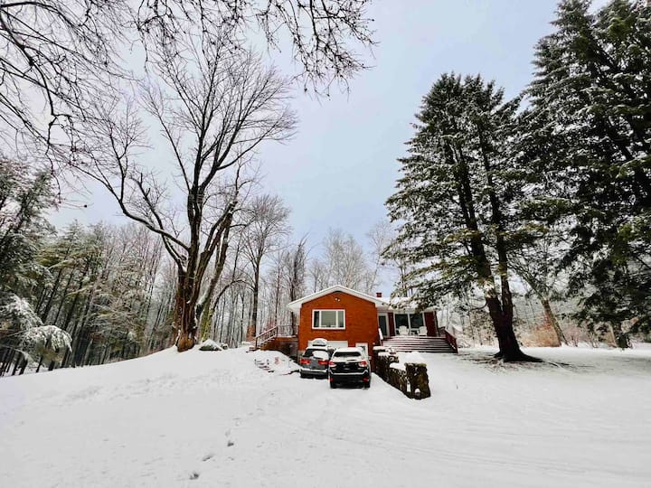 Catskill Ski -Woodstock Getaway W. 3 Acre Privacy - Phoenicia, NY
